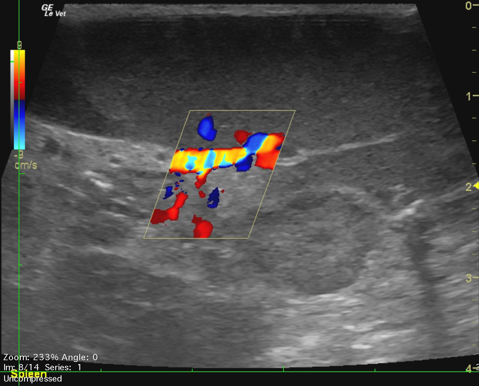 11-00051 Finn L Multicentric LSA -NEED CDX, SB- Members